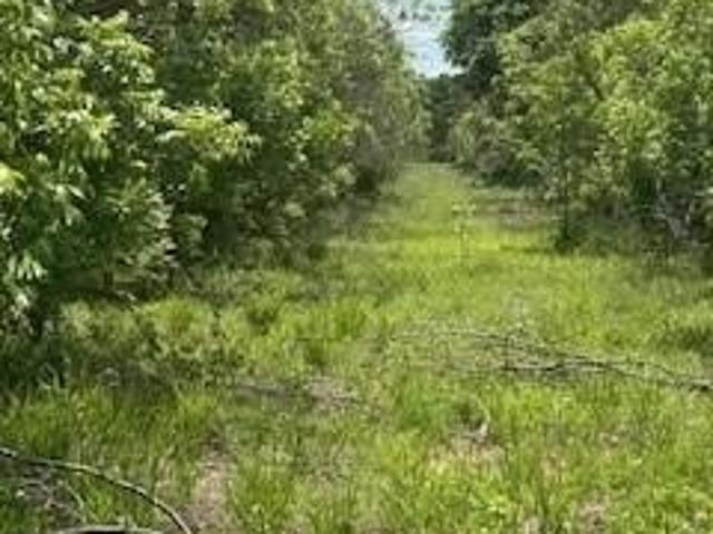 County Road,de Leon, Plot For Sale