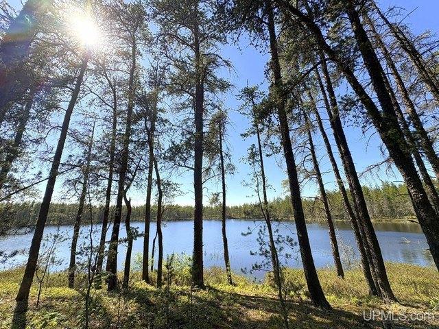 County Road EB, Gwinn, MI 49841