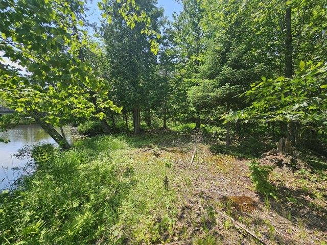 County Road H, Curtis, MI 49820