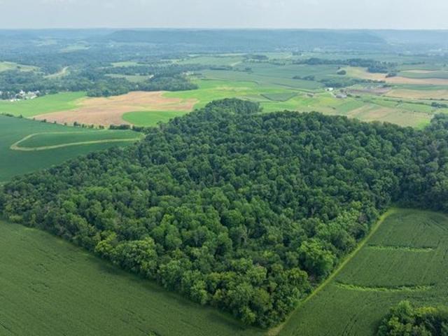 County Road J, Mondovi, WI 54755
