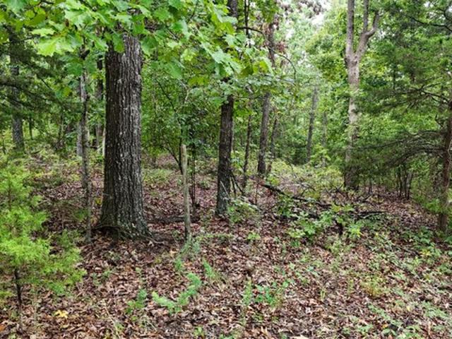 County Road Jj 416, Ava, MO 65608