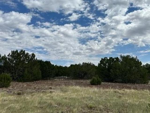 County Road N3102, Vernon, AZ 85940