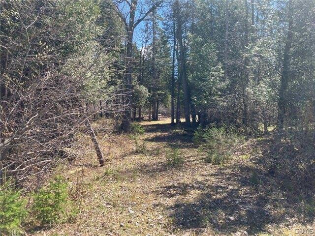 County Road,potsdam, Plot For Sale