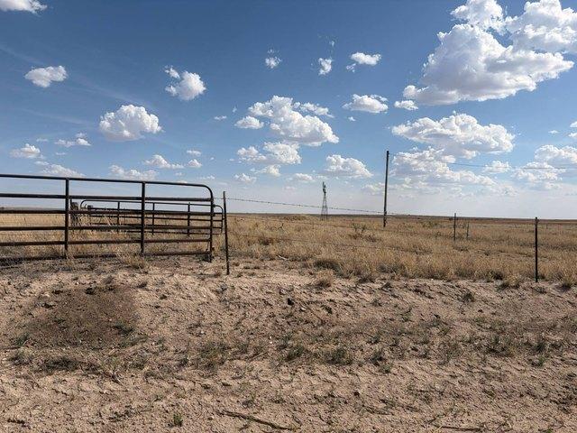County Road Rd # 123, Baileyboro, TX 79347