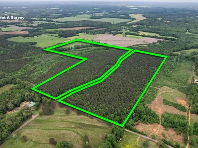 County Road,rienzi, Plot For Sale