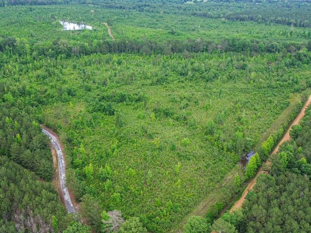County rd 166, Houston, MS 38841