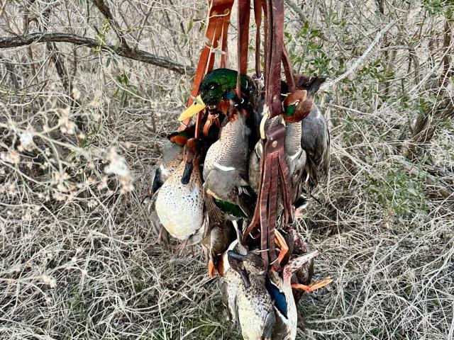 County Rd 176, Sidon, MS 38954