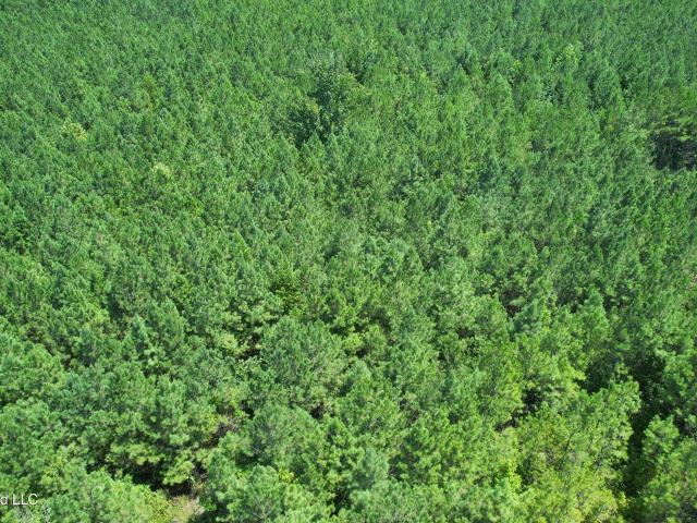 County Rd 2127, McCool, MS 39108