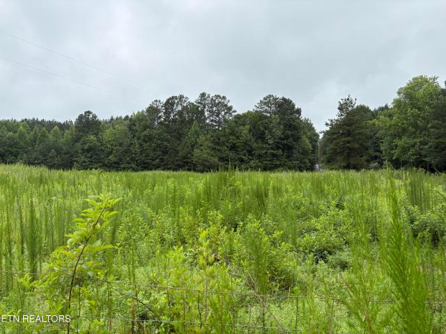 County Rd 42, Calhoun, TN 37309