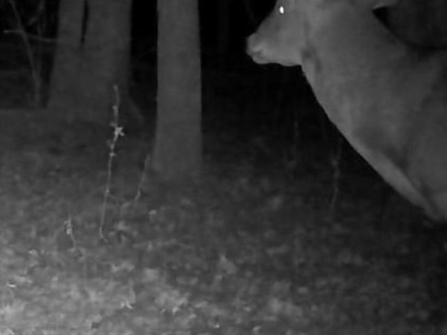 County Rd 550, Minter City, MS 38944