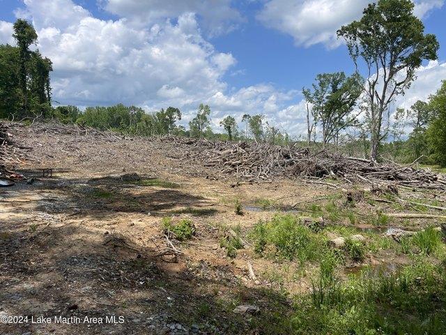 County Rd and Lindsey Rd, Alexander City, AL 35010