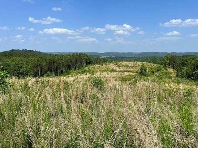 County Rd, Athens, TN 37303
