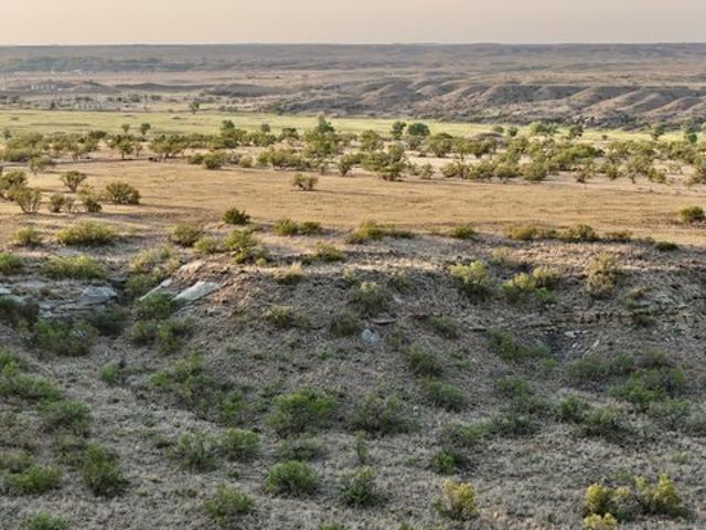 County Rd, Boys Ranch, TX 79010