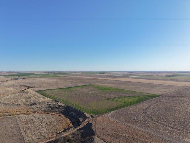 County Rd, Gove, KS 67736
