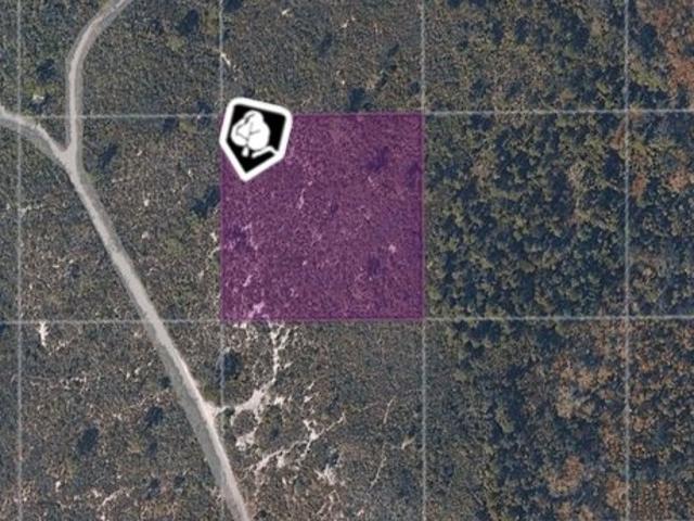 County Rd, Oak Hill, FL 32759