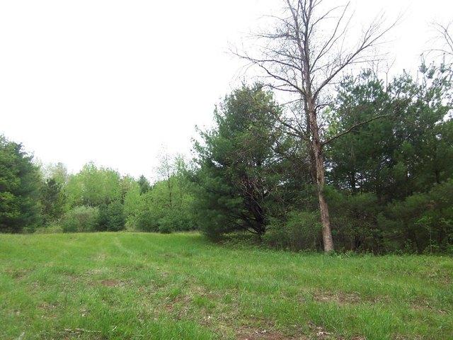 County Rd S, Sobieski, WI 54171