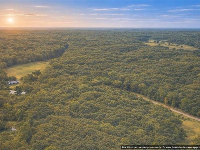 County Rd, Roanoke, AL 36274