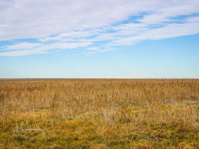 County Rd, Tribune, KS 67879