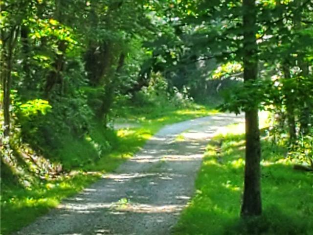 County Rt 22