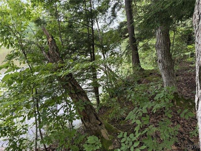 County Rt #,clayton, Plot For Sale