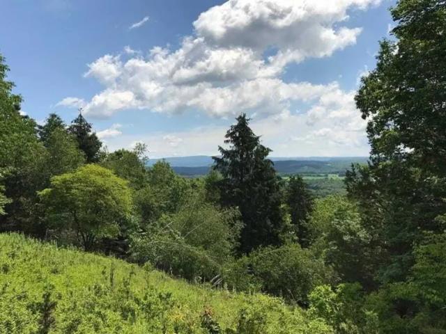 County Rte. 7 NY 102245617