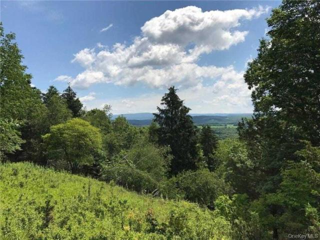 County Rte. 7 NY LS96164607