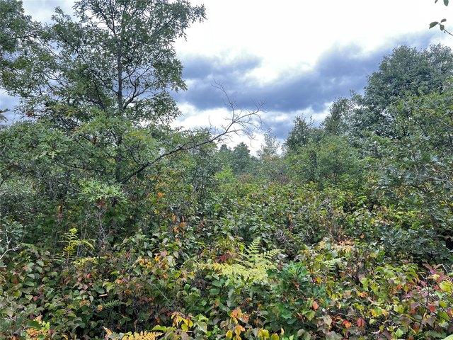 County T Rd Lot 3, Minong, WI 54838