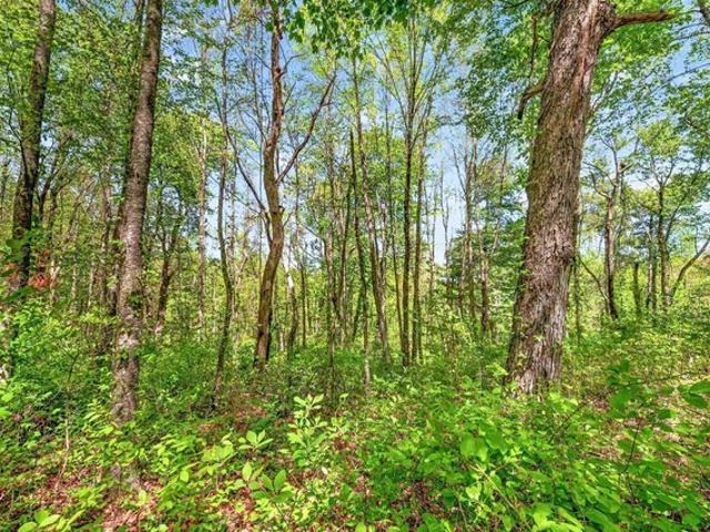 Countyline Church Rd, Floyd, VA 24091