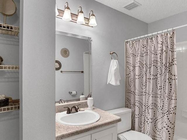 Courtney Cove Apartment Homes 1 Bedroom Apartment for Rent at 5510 N Himes Ave, Tampa, FL 33614 Al Lopez Park