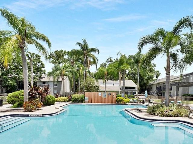 Courtney Cove Apartment Homes 1 Bedroom Apartment for Rent at 5510 N Himes Ave, Tampa, FL 33614 Al Lopez Park