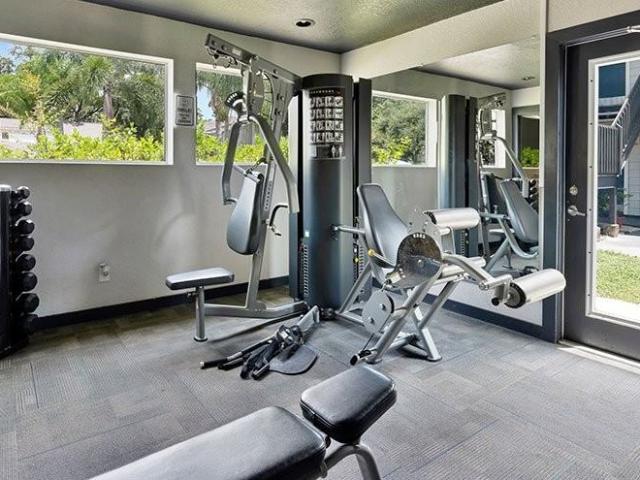 Courtney Cove Apartment Homes Studio Apartment for Rent at 5510 N Himes Ave, Tampa, FL 33614 Al Lopez Park