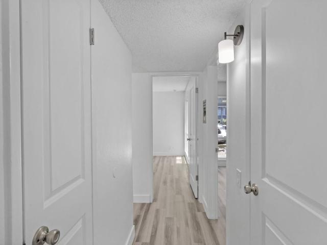 Courtyard 1 Bedroom Apartment for Rent at 5600 Marconi Ave, Carmichael, CA 95608