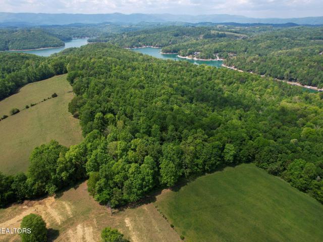 Cove Point Rd, LaFollette, TN 37766