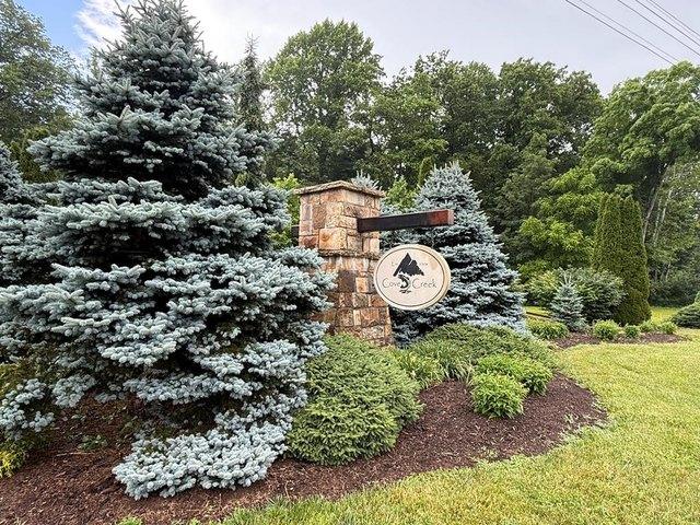 Cove Rd State Route 662 Crk Lot 041A0028, Bastian, VA 24314