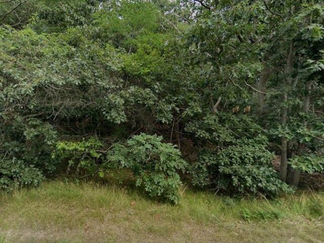 Cove Rd, Wellfleet, Plot For Sale