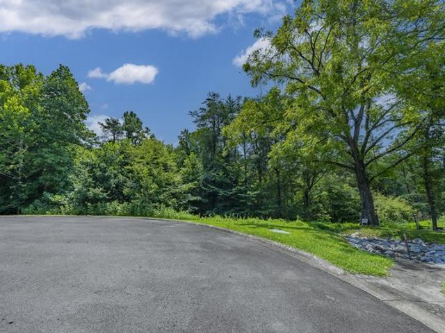 Cove Springs Dr Lot 17, Dandridge, TN 37725