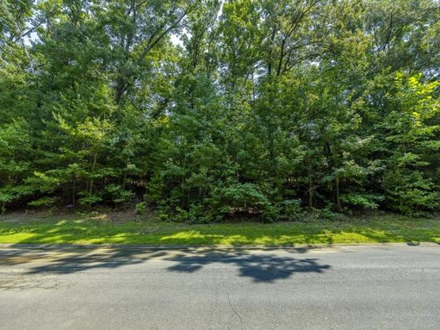 Cove Springs Dr Lot 8, Dandridge, TN 37725