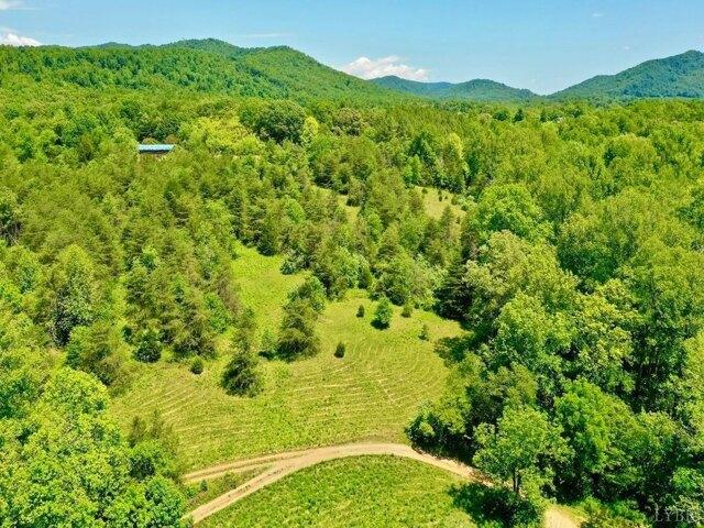Cove Valley Ln, Faber, Plot For Sale