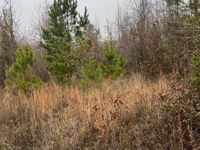 Coventry Rd, Natchez, MS 39120 | MLS #4137 | Compass