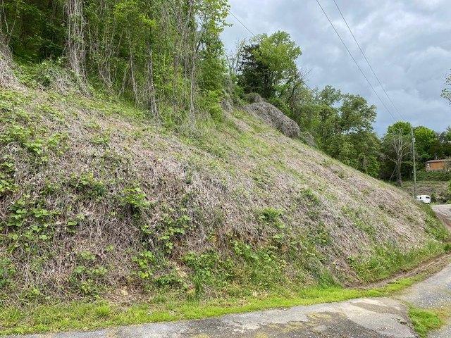 Coveside Way Lot 3, Sevierville, TN 37876