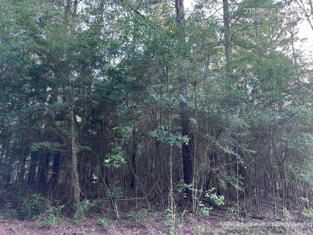 Covered Bridge Road, Carriere, MS 39426