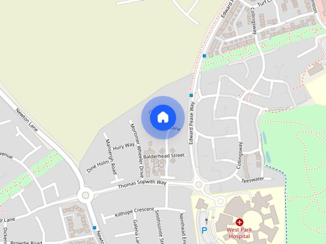 Cow Green Lane, Darlington, DL2