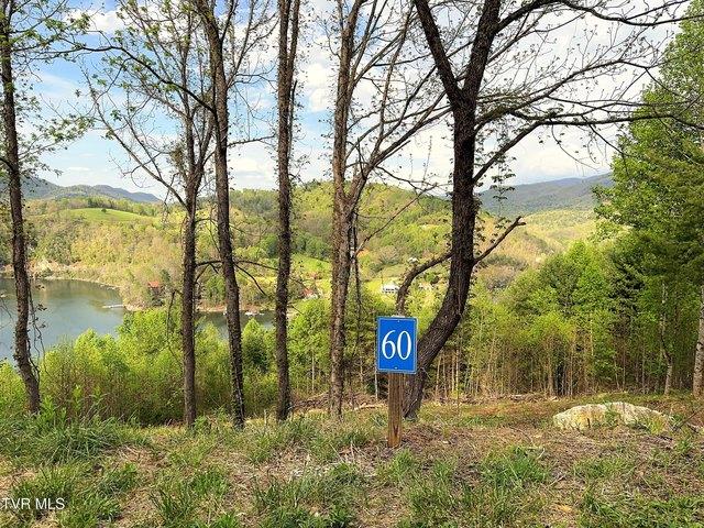 Cowan Town Rd Lot 60, Butler, TN 37640