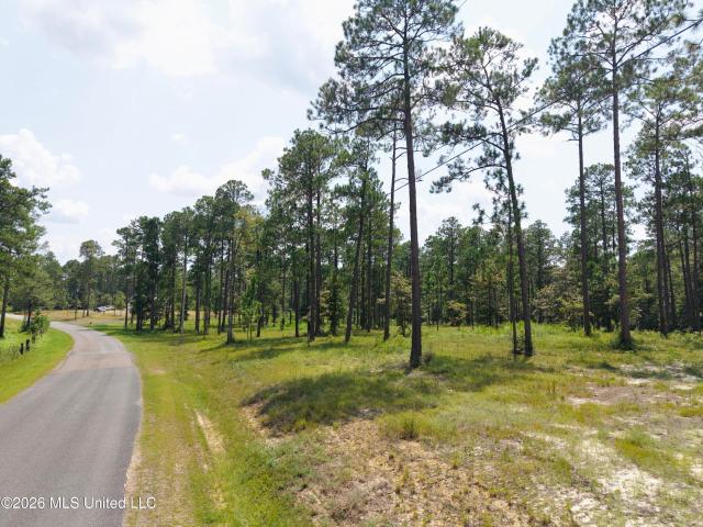 Cowart Holiday Road, Poplarville, MS 39470