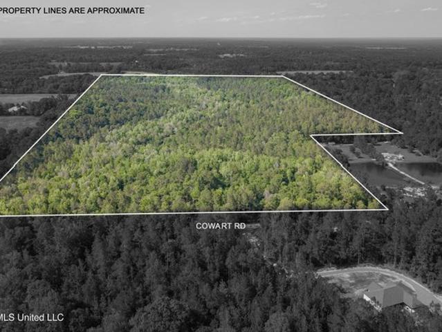 Cowart Rd, Lucedale, MS 39452