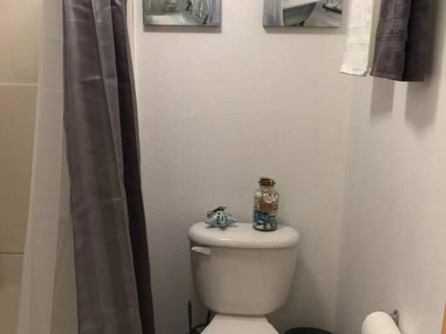 Cowen Park Apartments 1 Bedroom Apartment for Rent at 1401 Ne 56th St, Seattle, WA 98105 University District