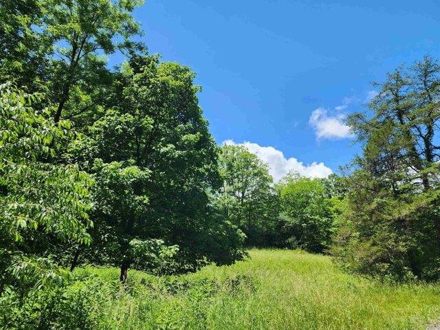 Cowpasture River Rd N, Head Waters, Plot For Sale