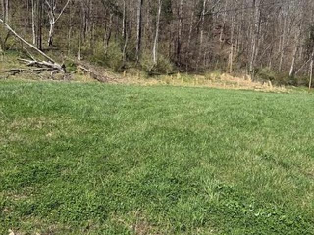 Cowpen Lot 4, Pikeville, KY 41501