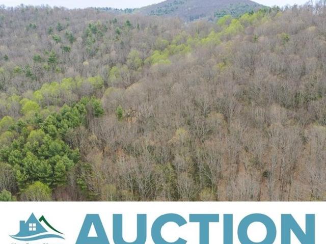 Cox Store Rd, Floyd, VA 24091