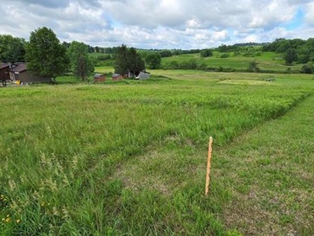 Coxes Creek Rd, Somerset, PA 15501